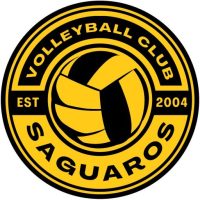 Fall Volleyball Camps – ARIZONA SAGUAROS VOLLEYBALL CLUB